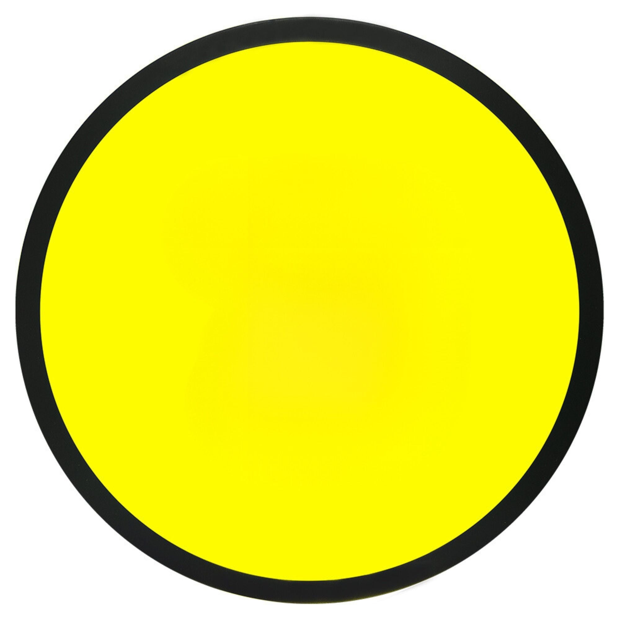 MVP Neutron Trail Disc - Blank Stamp – PB Sports LLC